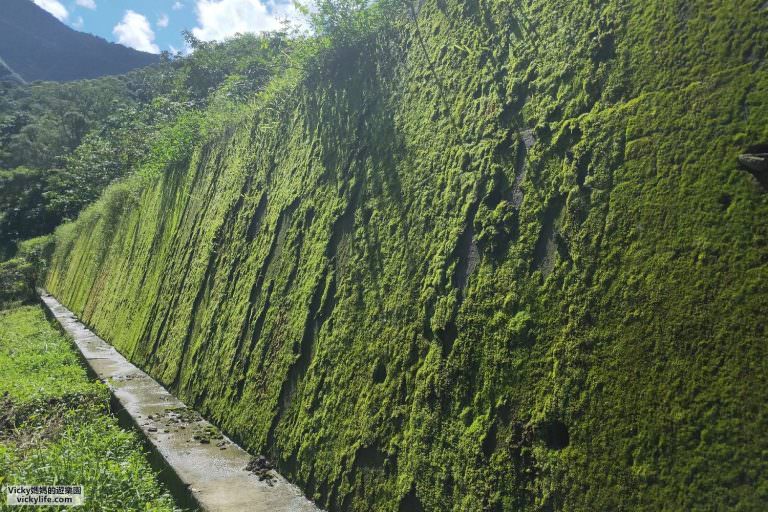 屏東景點︱山地門海神宮Cavak親水園區：跳水、飄飄河，夏天就這麼玩，玩到嗨玩到不想回家 @Vicky 媽媽的遊樂園